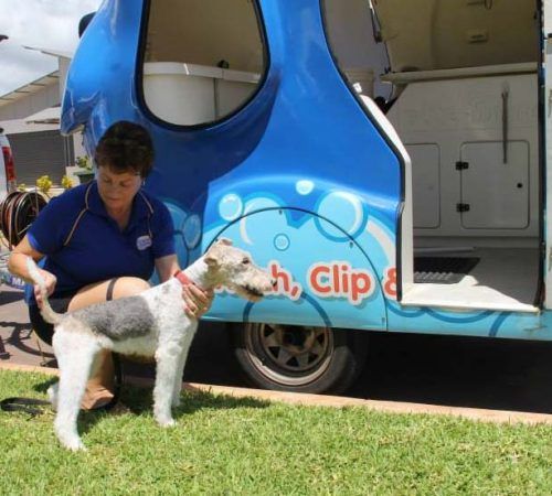 Mobile Dog Groomer Professional Dog Wash North East Darwin mobile-dog-groomer-professional-dog-wash-north-east-darwin