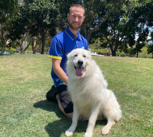 Mobile Dog Grooming| Professional Dog Wash | Blue Wheelers Lismore