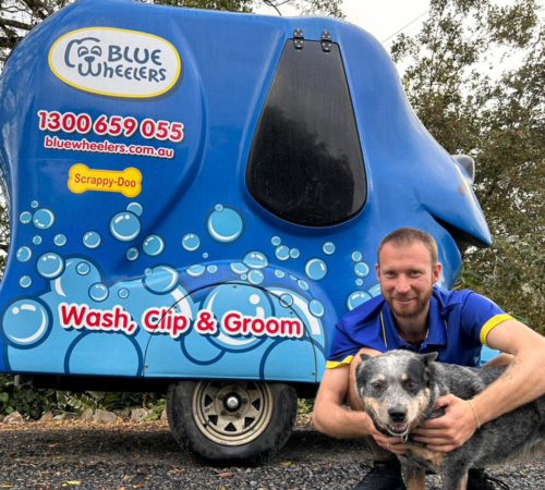 Mobile Dog Grooming| Professional Dog Wash | Blue Wheelers Lismore